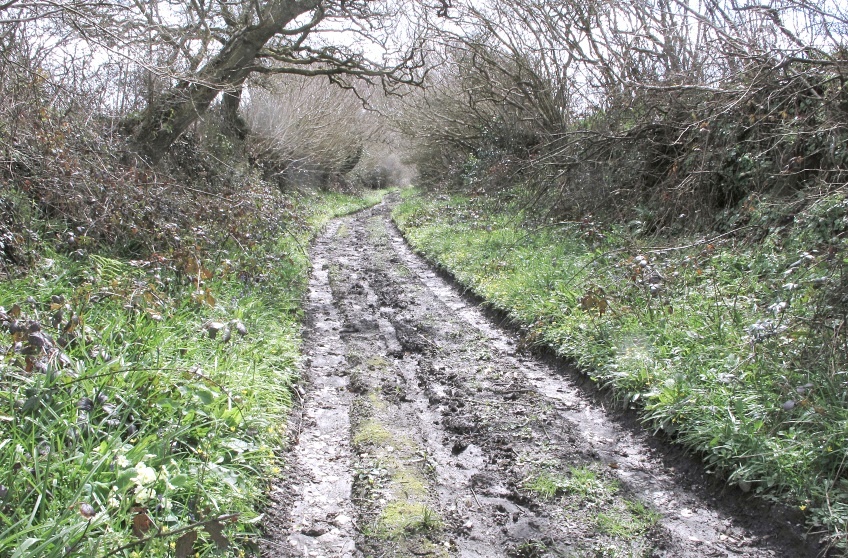 Sithney Old Hill, Helston, Cornwall.